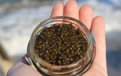 House of Caviar and Fine Foods