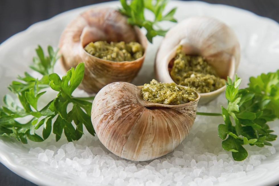 Escargot Recipes & Serving Tips | House of Caviar and Fine Foods