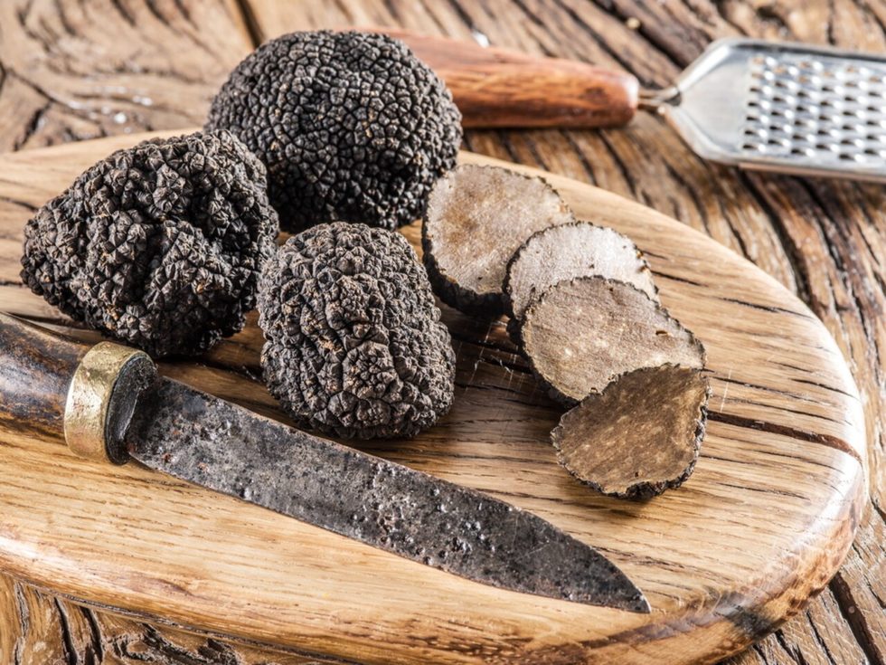 Types Of Truffle Mushrooms House Of Caviar And Fine Foods