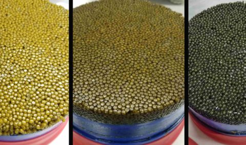 Can caviar only come from fish?