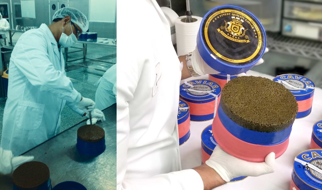 How Caviar is made: Everything you need to know.