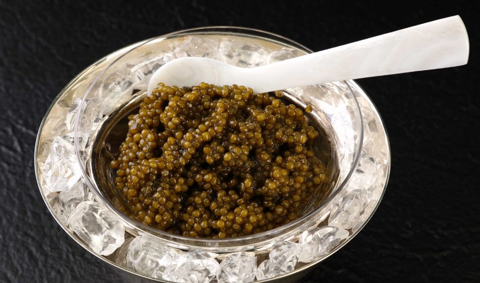 Beginner's guide to Osetra Caviar: All about Osetra Caviar.