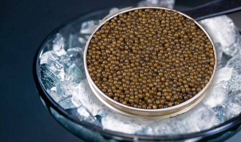 5 facts about Sturgeon Caviar you should know