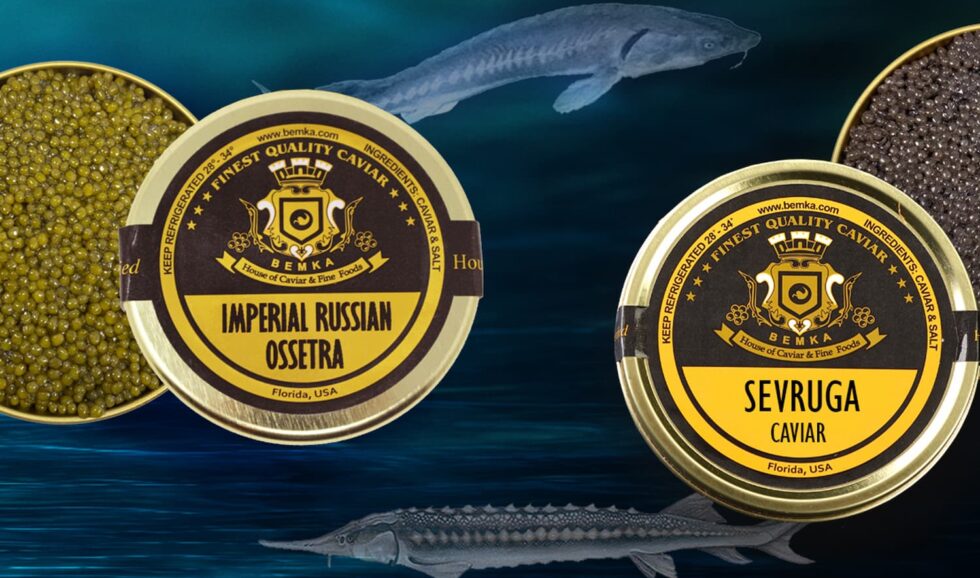 5 facts about Sturgeon Caviar you should know