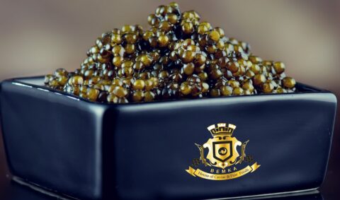 5 facts about Sturgeon Caviar you should know