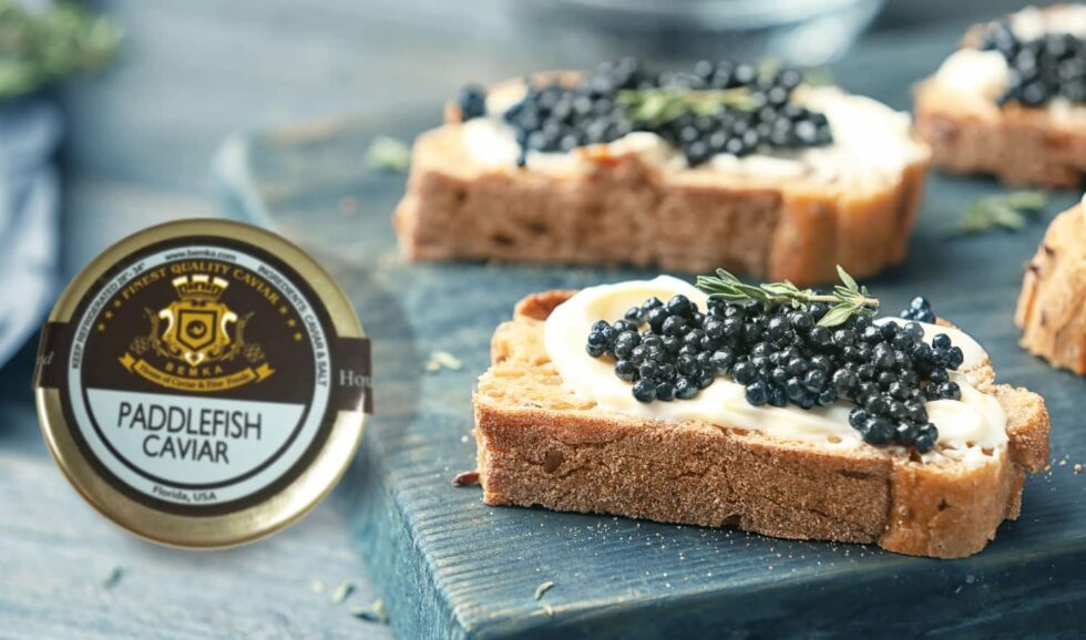 The best Caviar to try in 2021