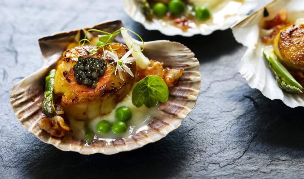 All About Sevruga Caviar: The best option to try fine food.