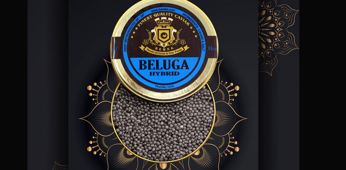 What is Beluga Hybrid Caviar? The best option to try