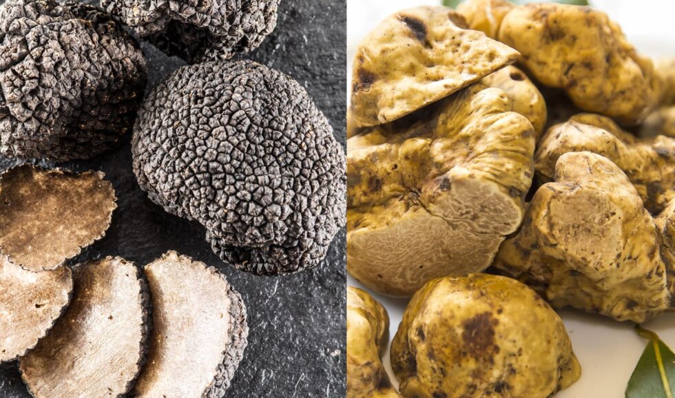 Truffle Season: two recipes to enjoy it with Caviar ¡Enjoy this delicacy!