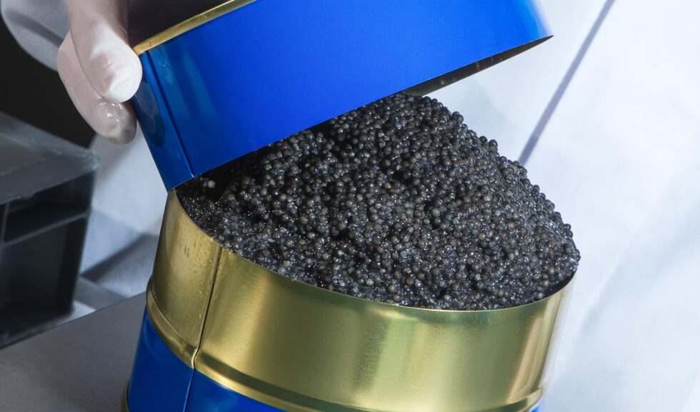 All about Classic Siberian Ossetra: How to eat and recipes with this caviar