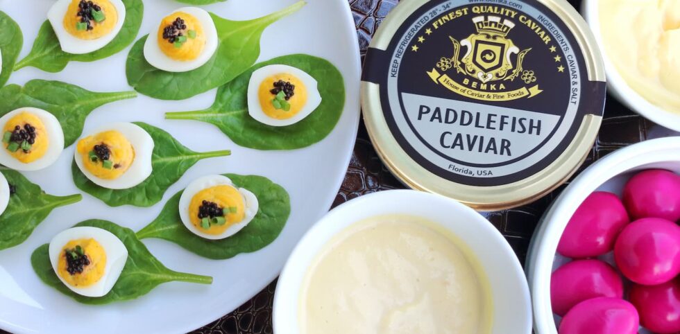 Types of Caviar: How to eat? how to try? all about the types of caviar ...