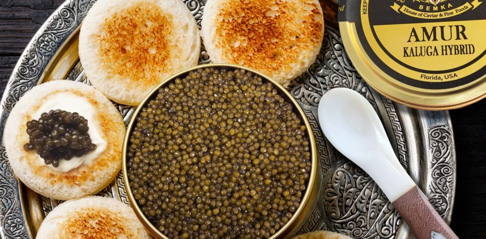 Types of Caviar: How to eat? how to try? all about the types of caviar ...