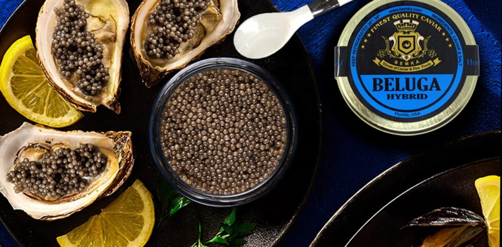 10 facts about Caviar you should know. All about Caviar for Caviar Lovers.